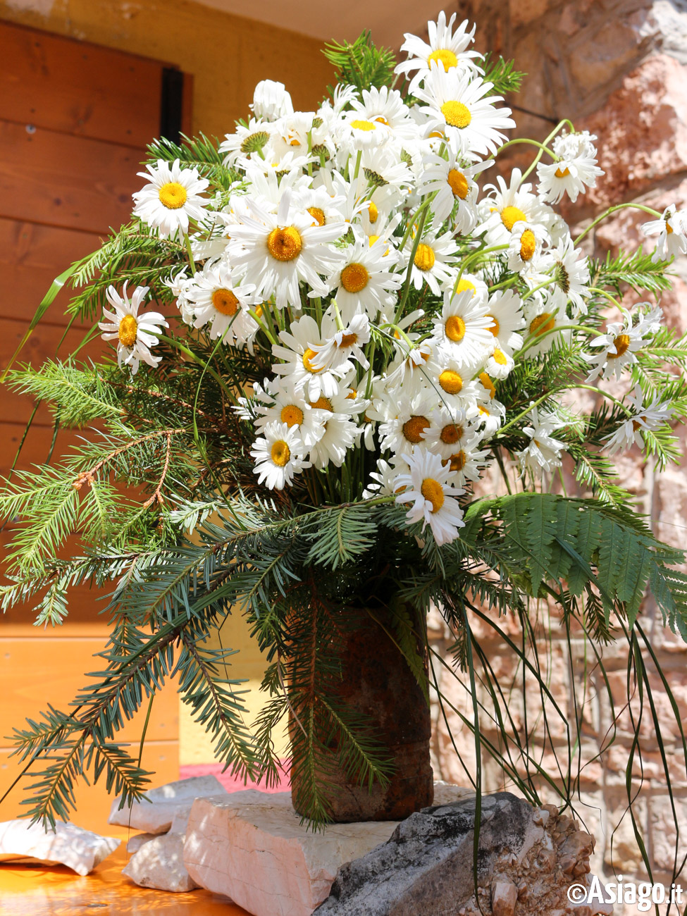 Malga Dosso di Sotto - Hochebene von Asiago 7 Gemeinden