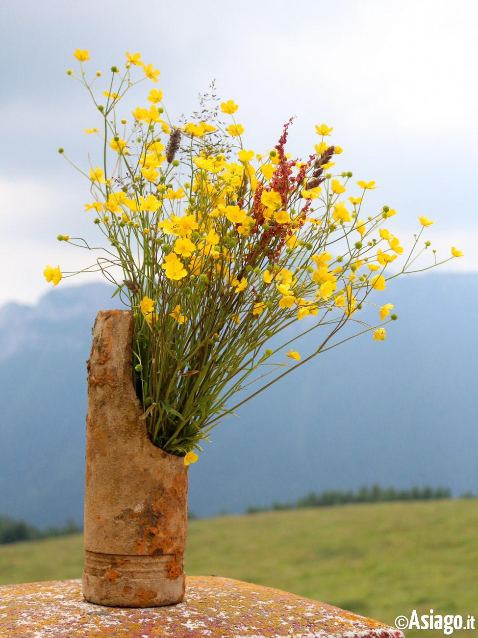 Malga Dosso di Sotto - Hochebene von Asiago 7 Gemeinden