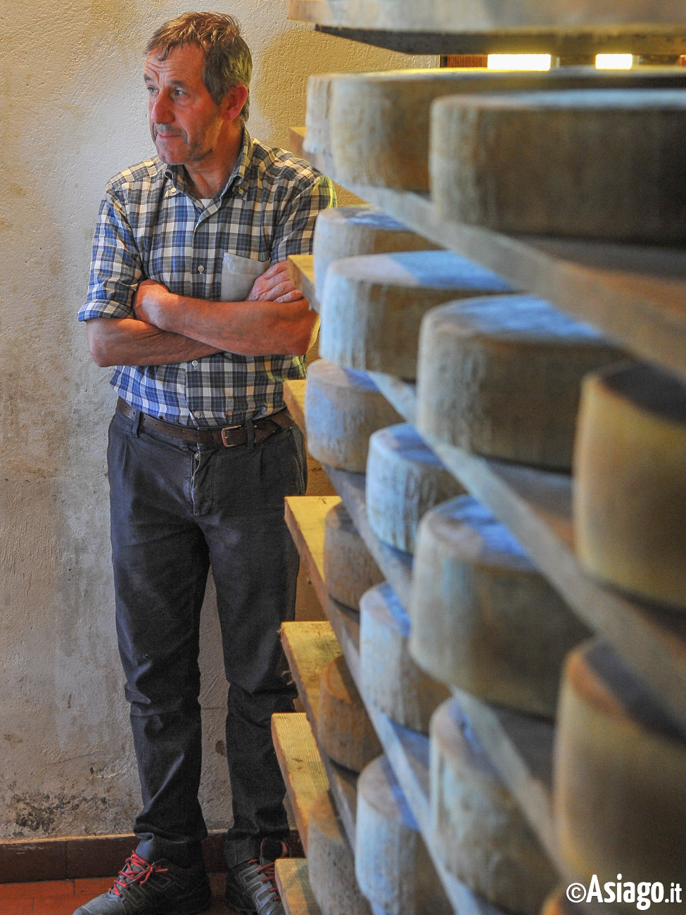 Malga Dosso di Sotto - Hochebene von Asiago 7 Gemeinden