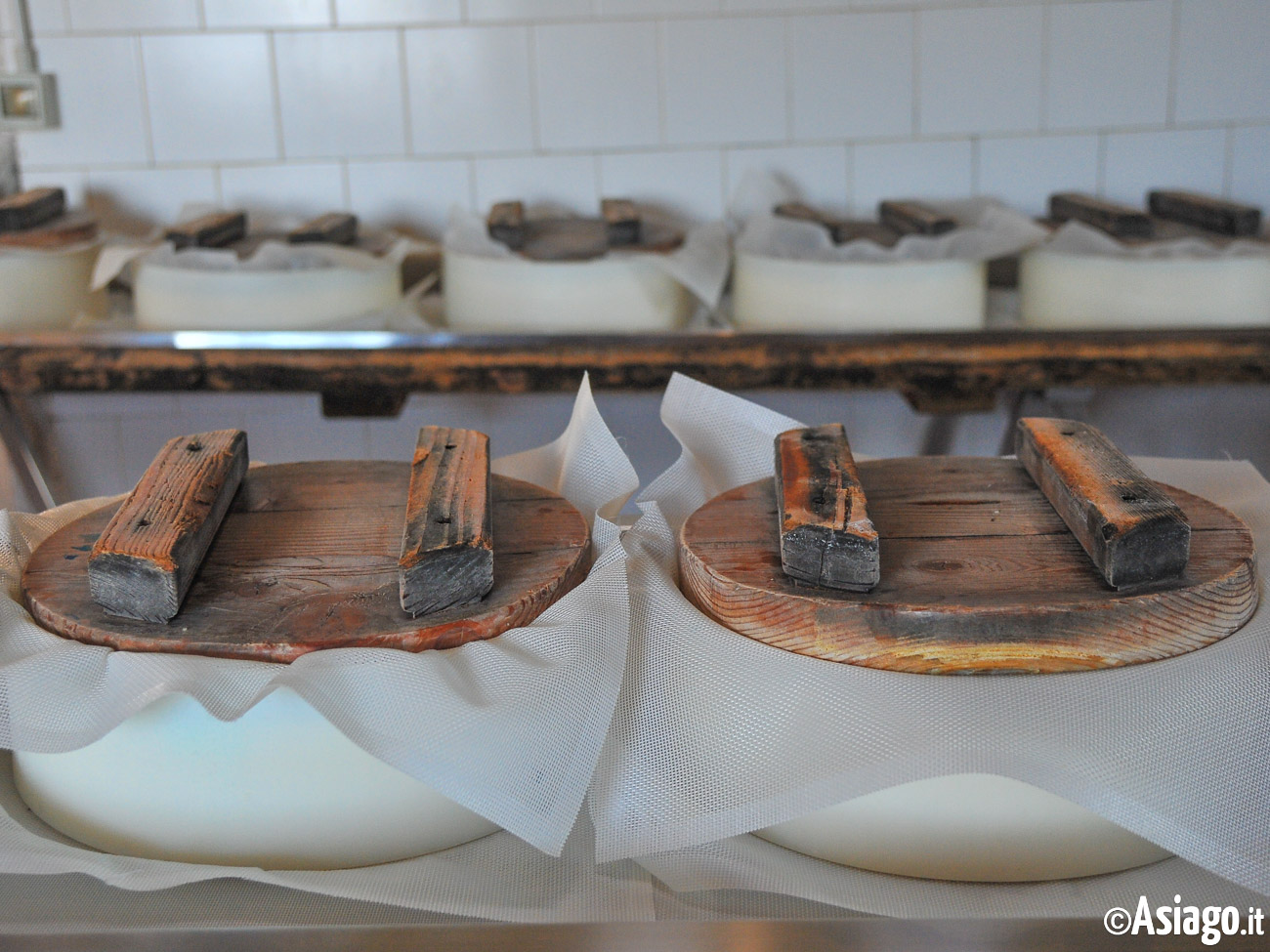 Malga Dosso di Sotto - Hochebene von Asiago 7 Gemeinden