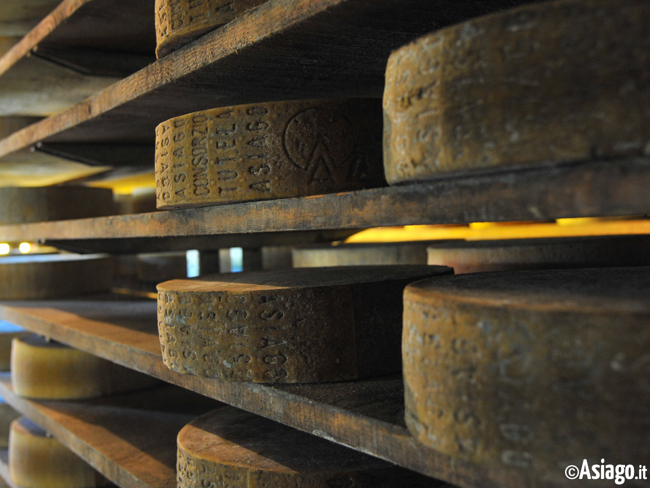 Malga Dosso di Sotto - Hochebene von Asiago 7 Gemeinden