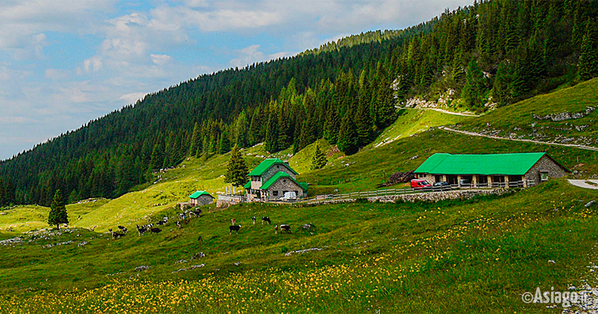 Asiago.it - Asiago Plateau