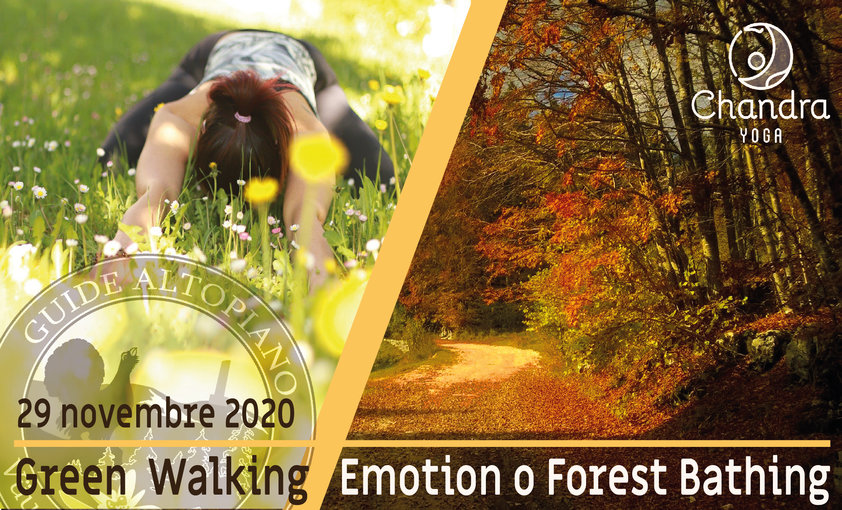 FOREST BATHING or GREEN WALKING EMOTION: emotional walk, 29 November 2020