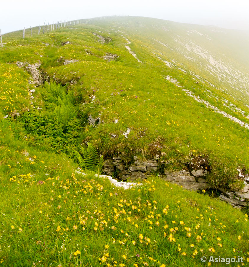 Itinerario (MTB) Asiago-Valbella-Valle Dei Ronchi-Monte Fior (Città di ...
