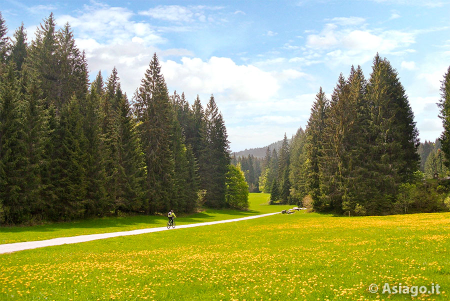 Itinerario Per Mountain Bike Tresche Conca – Val Magnaboschi ...