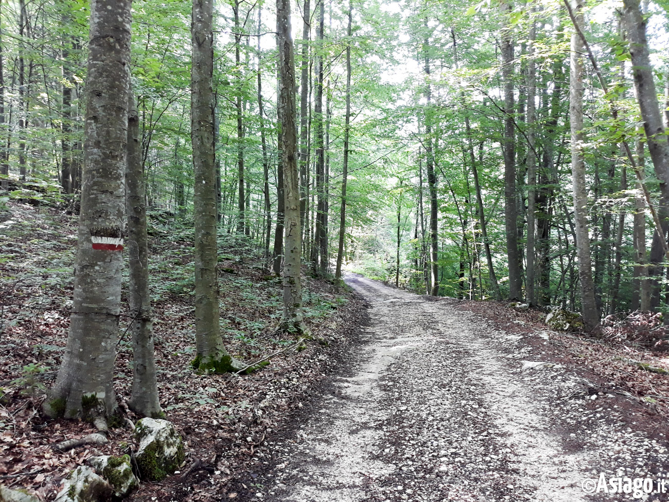Itinerario escursione Treschè Conca - CAI 804 - Forte Corbin - Treschè ...