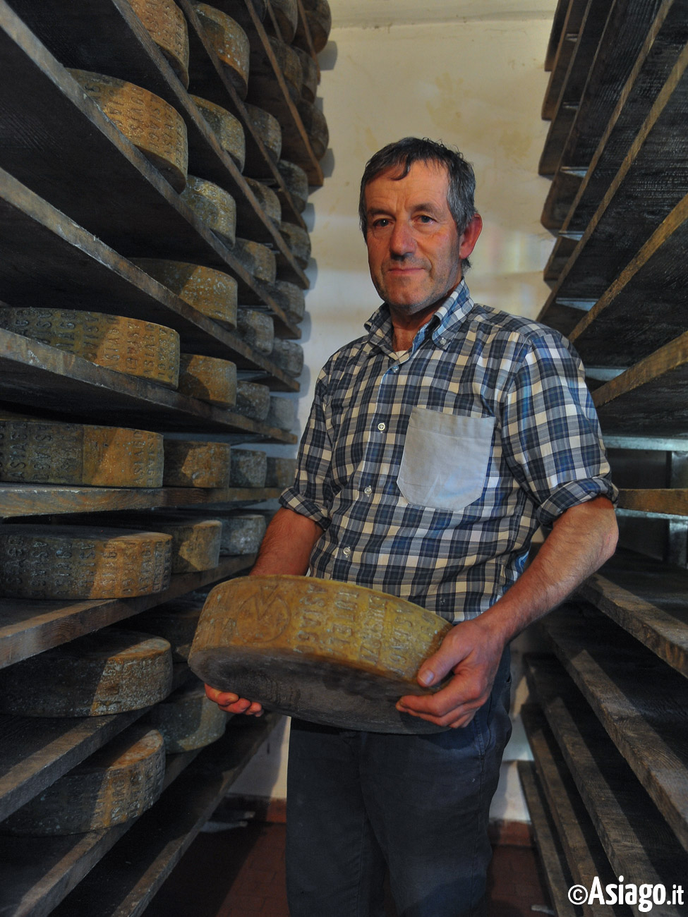 Malga Dosso di Sotto - Altopiano di Asiago 7 Comuni