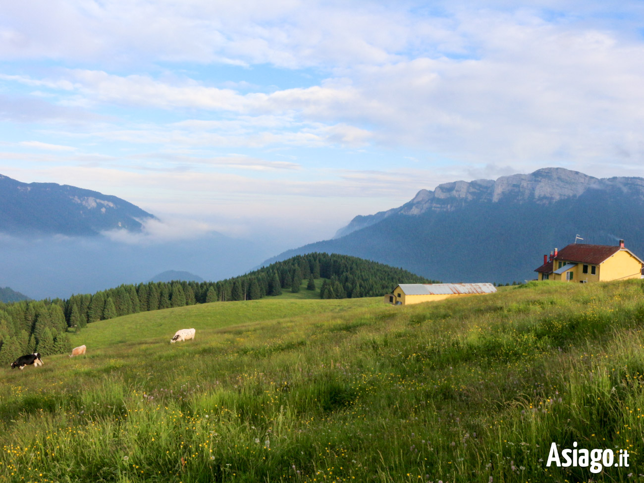 Malga Dosso di Sotto - Altopiano di Asiago 7 Comuni