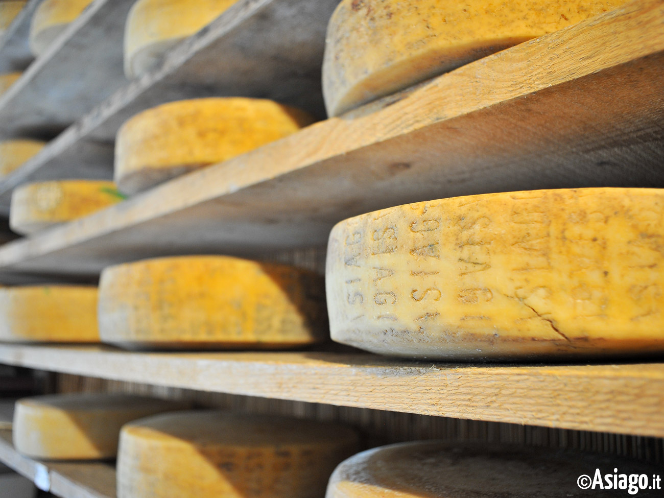 Malga Zebio - Altopiano di Asiago 7 Comuni